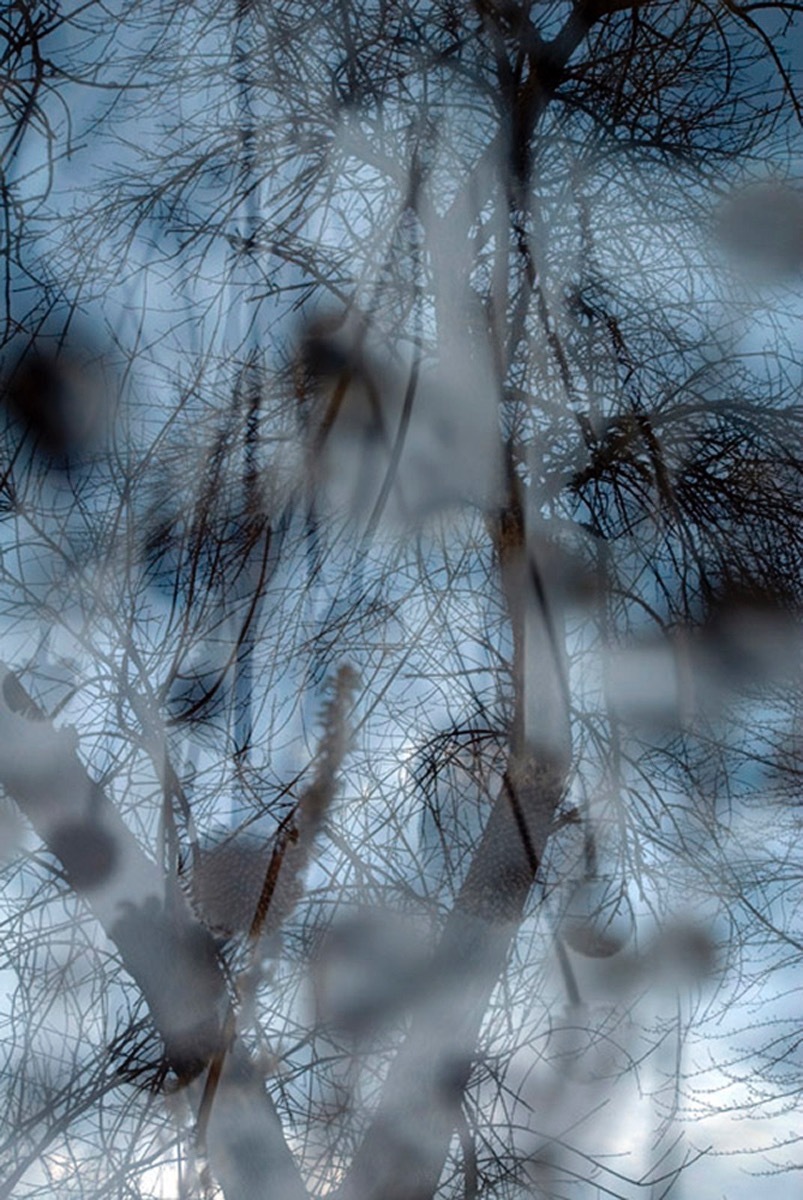 David Littell: The Impersistence of Memory | U-M Stamps