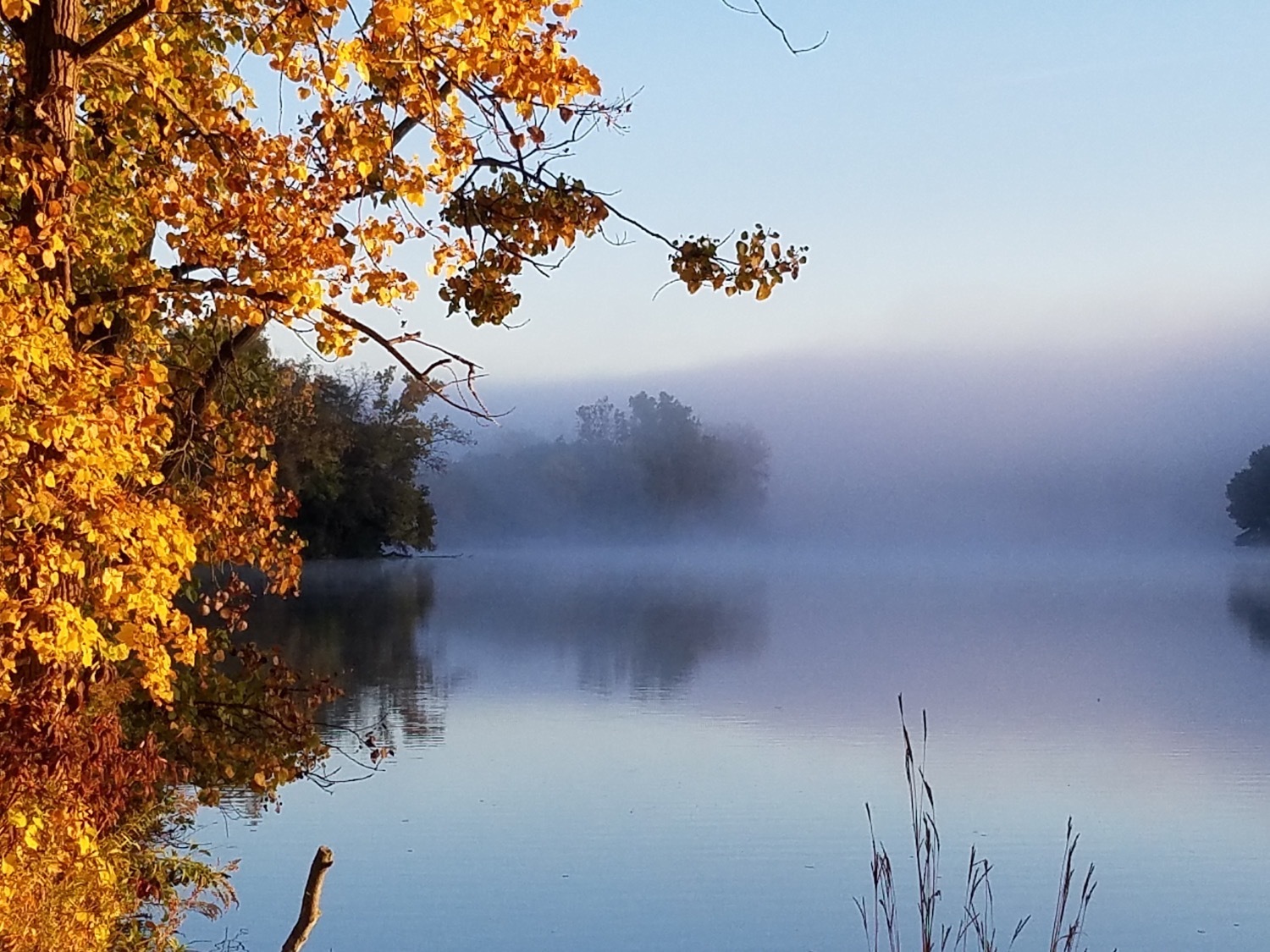 Ginny Russell-Sheldon: Argo Pond | U-M Stamps
