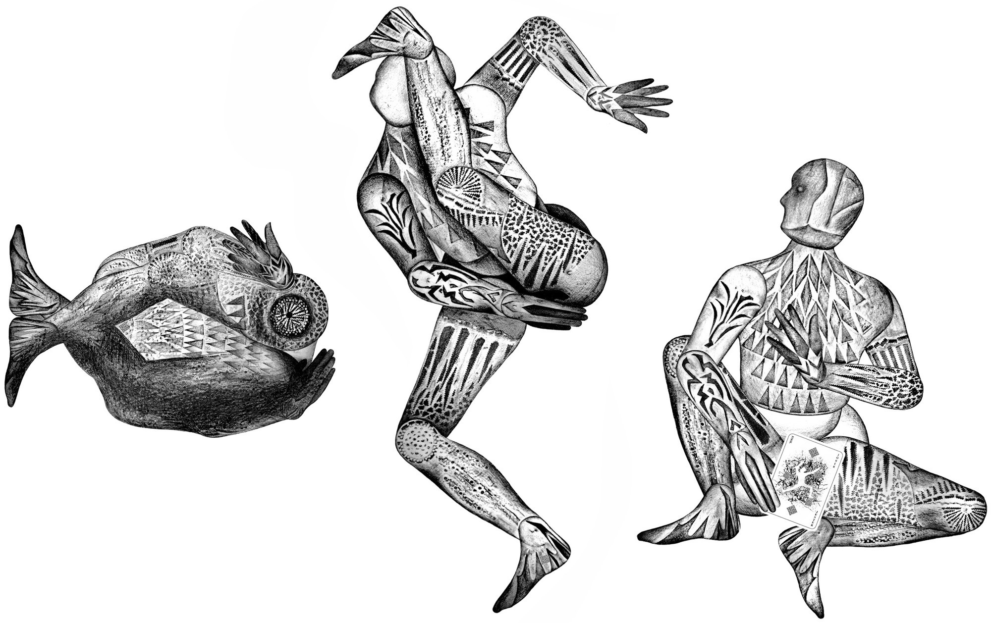 Robin Wilt: Fish & Unfish & still FIO | U-M Stamps