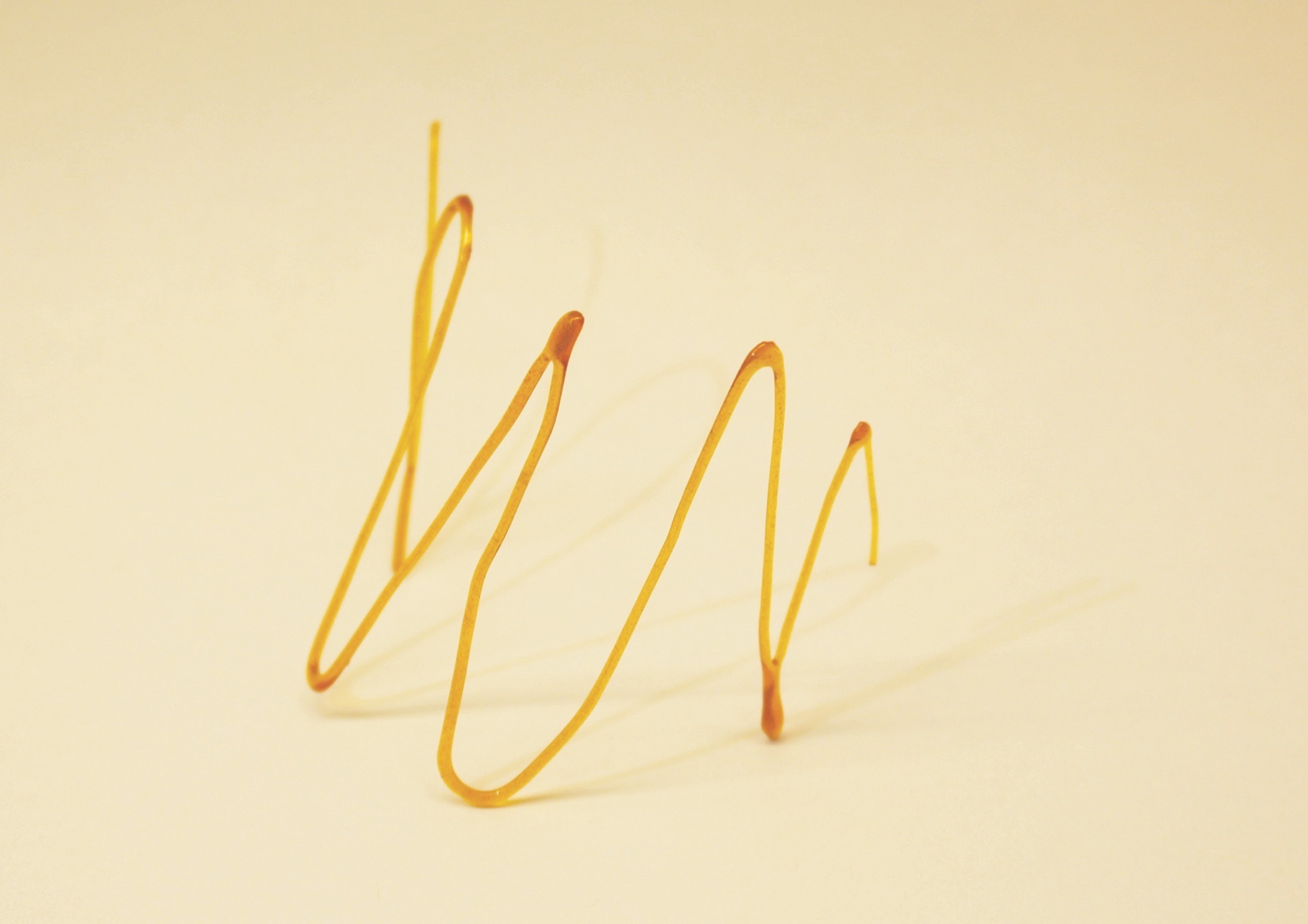 Sarah Knoll: A Delicate Obssesion | U-M Stamps