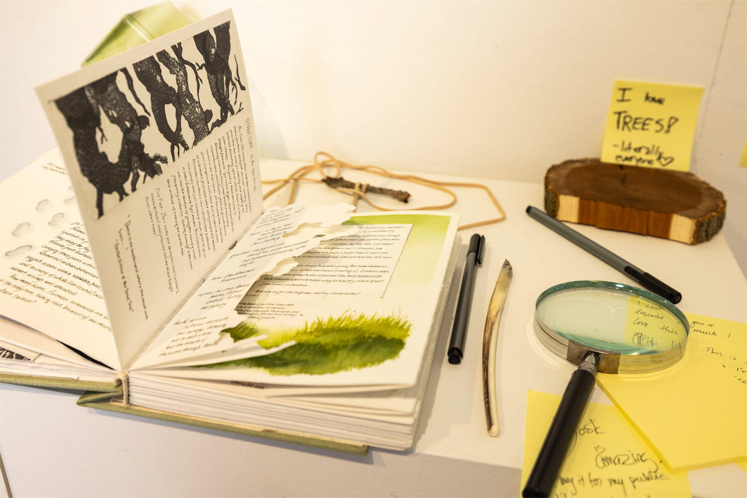 Theodora Bilich: Feeling, Knowing, Beauty: A Naturalist’s Journal and ...