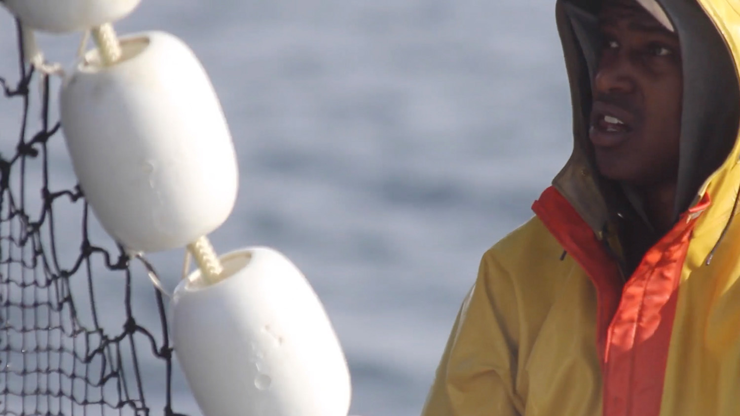 Ellie Schmidt | U-M Stamps