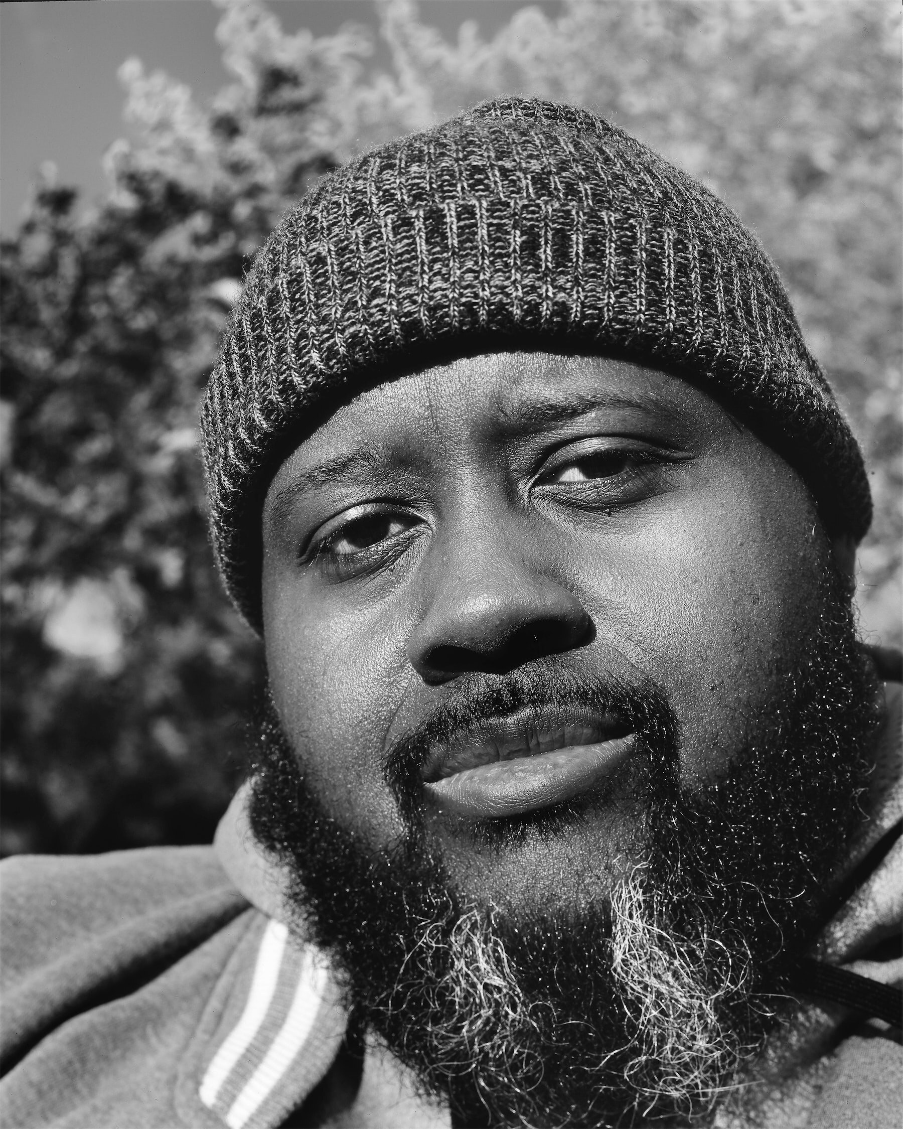 Nick La Marca: Ralph | U-M Stamps