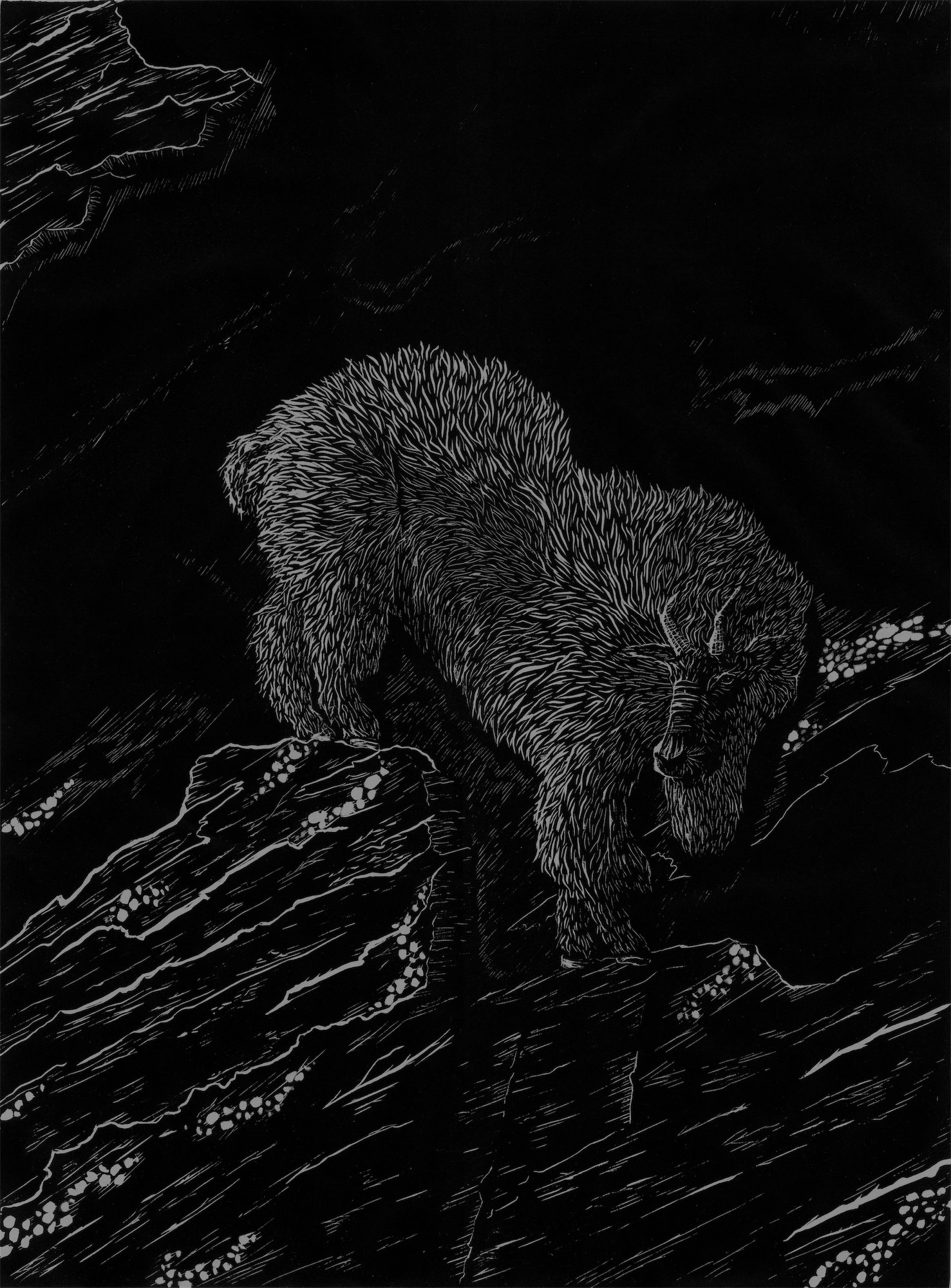 Ana Swanson: Gavin the Goat | U-M Stamps