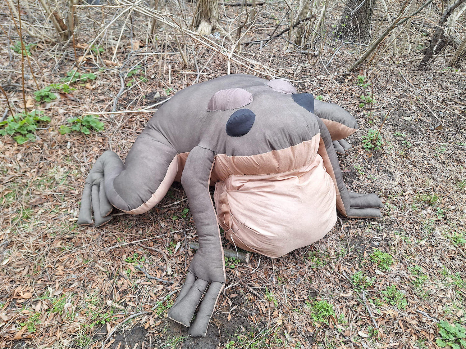 Lauren Kopp: Grounded Toad | U-M Stamps